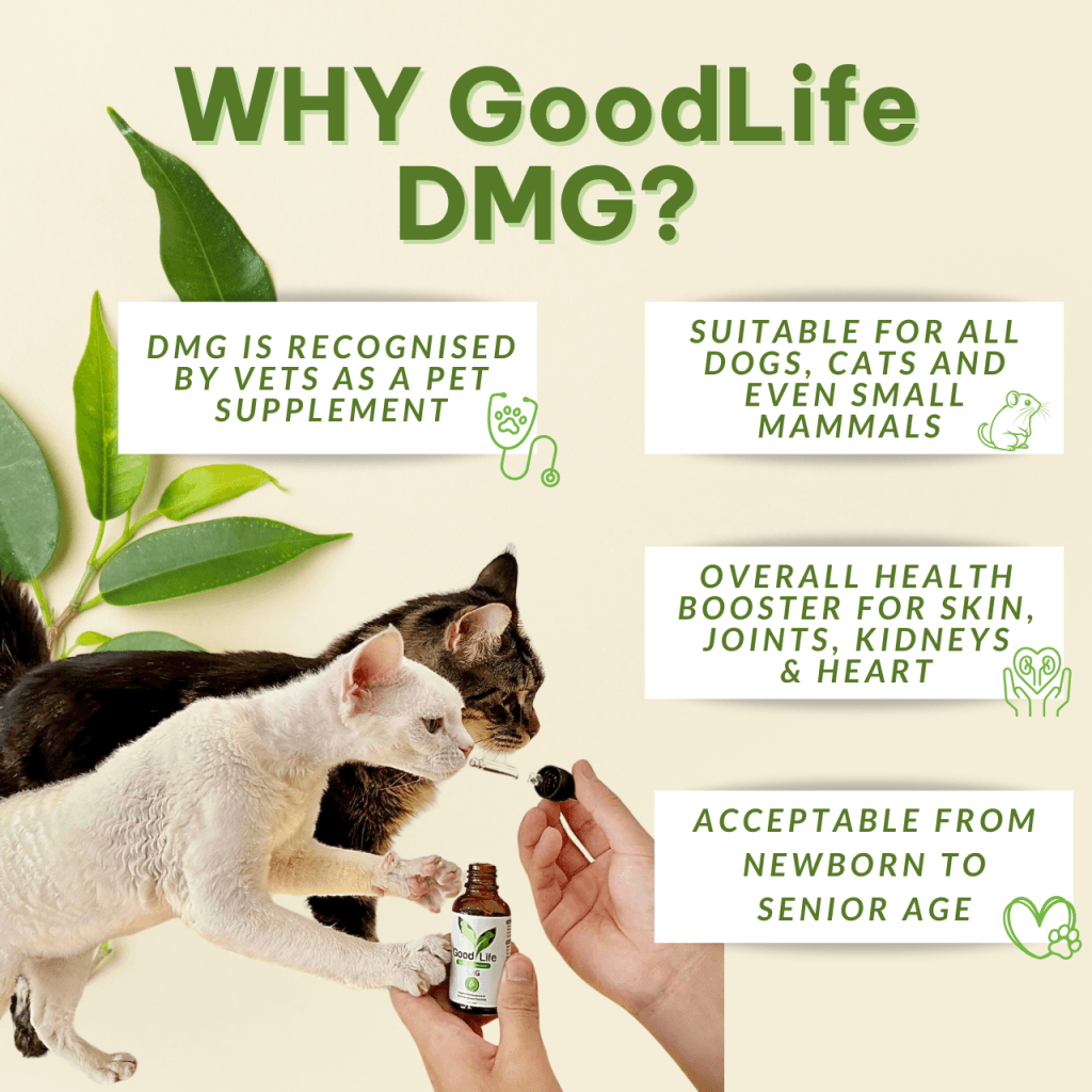 GoodLife DMG Immune Booster – PetMedic