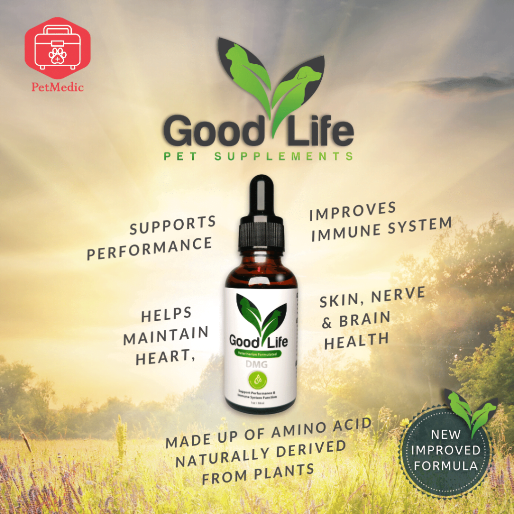 GoodLife DMG Immune Booster – PetMedic
