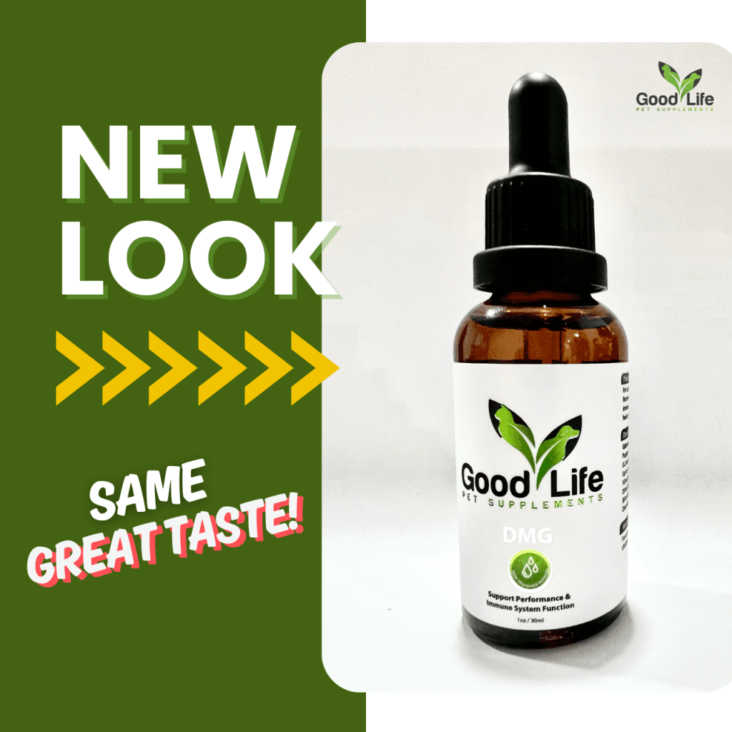 GoodLife DMG Immune Booster – PetMedic