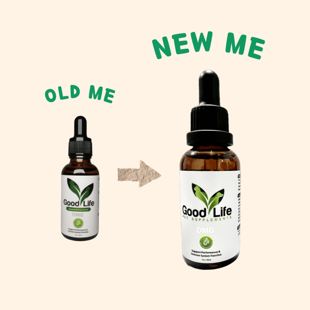 GoodLife DMG Immune Booster – PetMedic